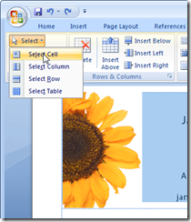 Helen Bradley - MS Office Tips, Tricks and Tutorials
